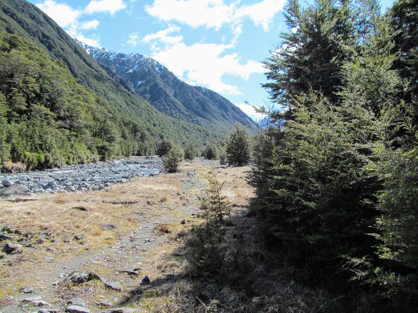 Tramping in the New Zealand backcountry: NZ Bush Adventures: Hawdon Hut ...