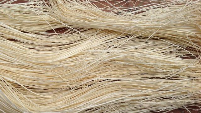 Mengenal Jenis Rotan untuk Furniture - Oom Blogger