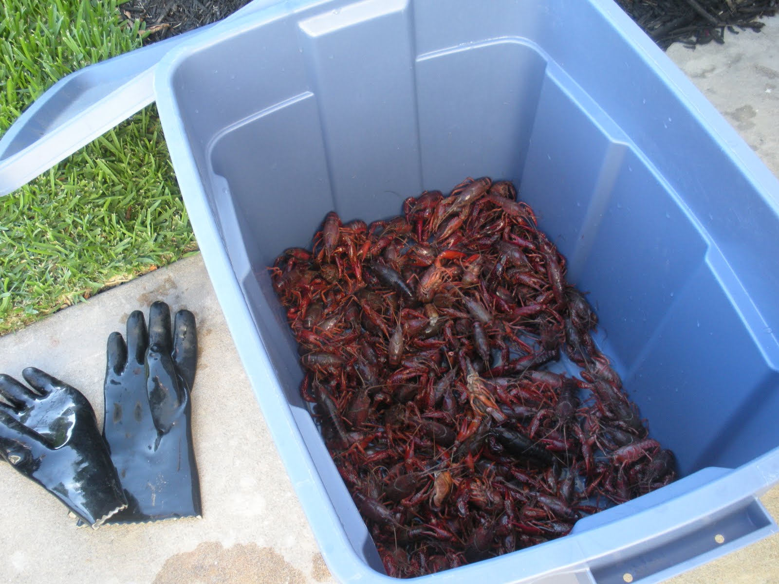 Keeping Time: Crawfish Boil...!