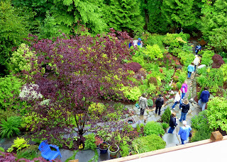 Gardener's Roost: Garden Tour in Seattle neighborhood