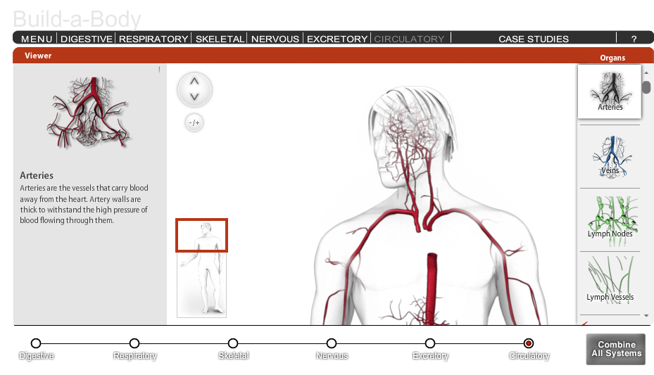 Educational Technology Guy: Build-A-Body - very cool interactive ...