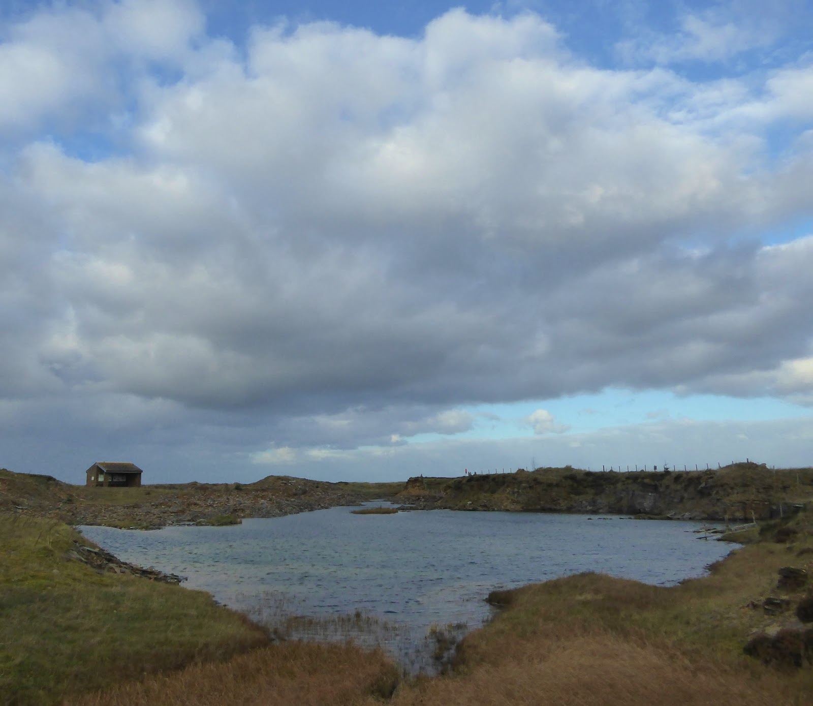 Big Gorse Bush: Fossil Hunting at Achanarras Quarry, Caithness