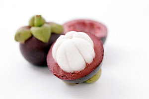 Mangostán, Salud y Oportunidad: El árbol del mangostino