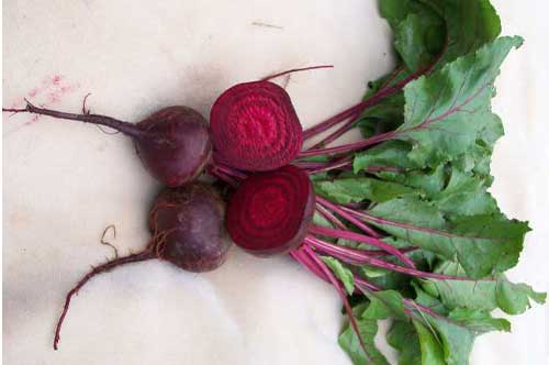 Khasiat Beet ~ Cara Sehat Alami Dan Awet Muda