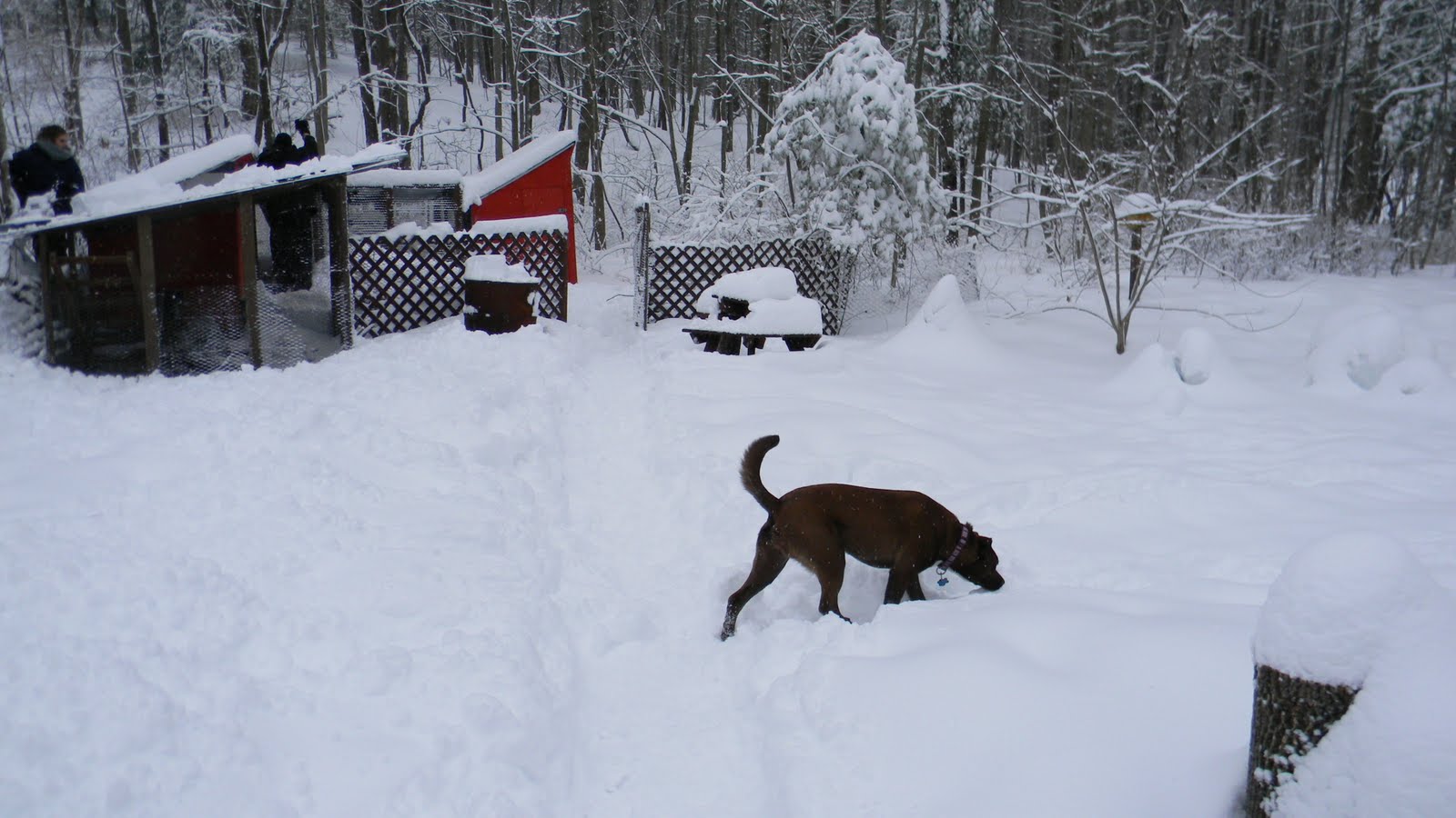 Annemiek's world: februari 2011