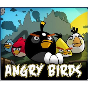 Nilai-Nilai Islam Dalam Game Angry Bird ~ Meniti Kehidupan Insan