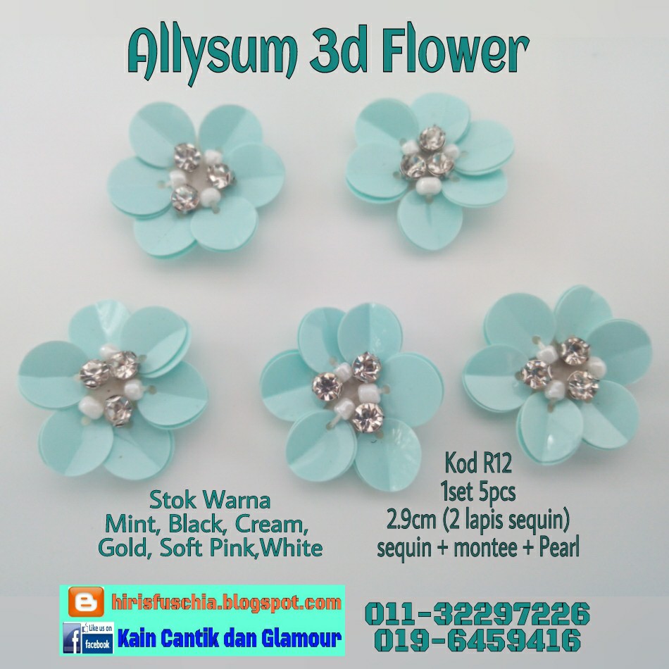 HirizFuschiea: Musim Bunga-Bunga 3d (3d Flower) melanda Malaysia