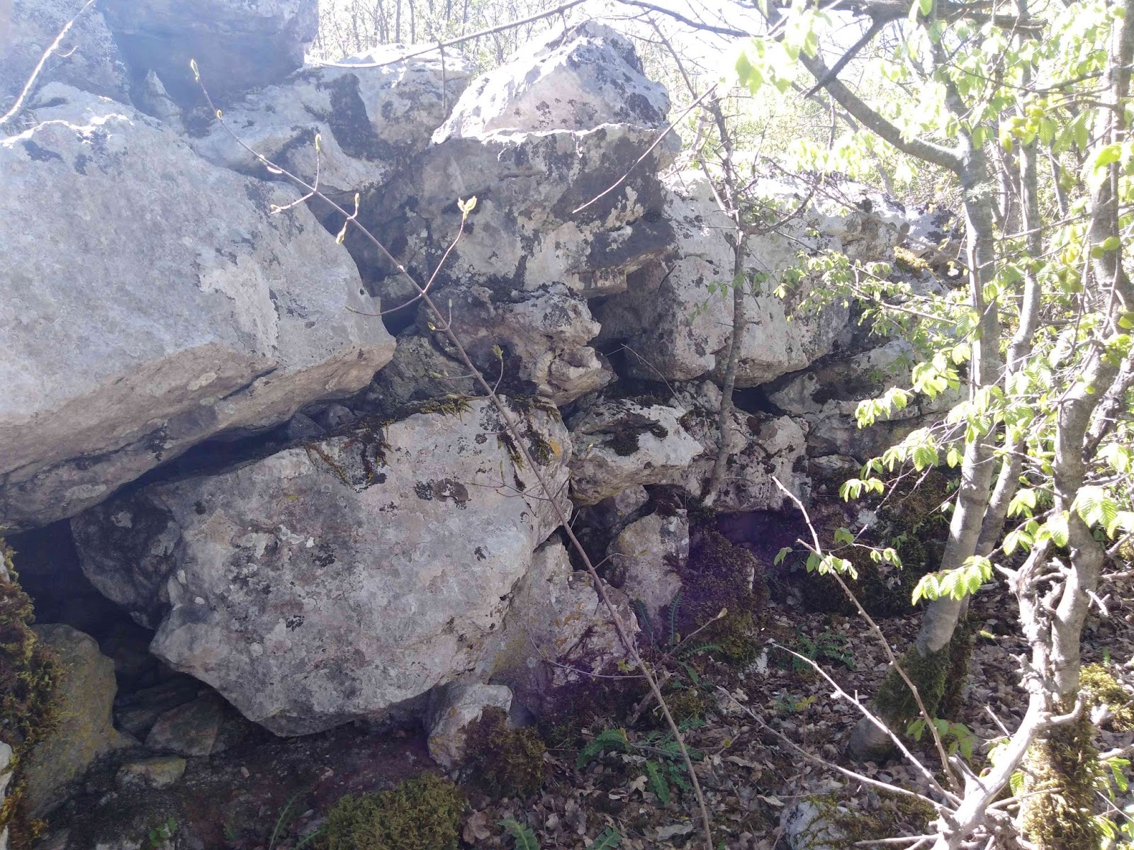 ZABORAVLJENA ILIRSKA GRADINA U GORNJIM MAMIĆIMA KOD ŠIROKOG BRIJEGA ...