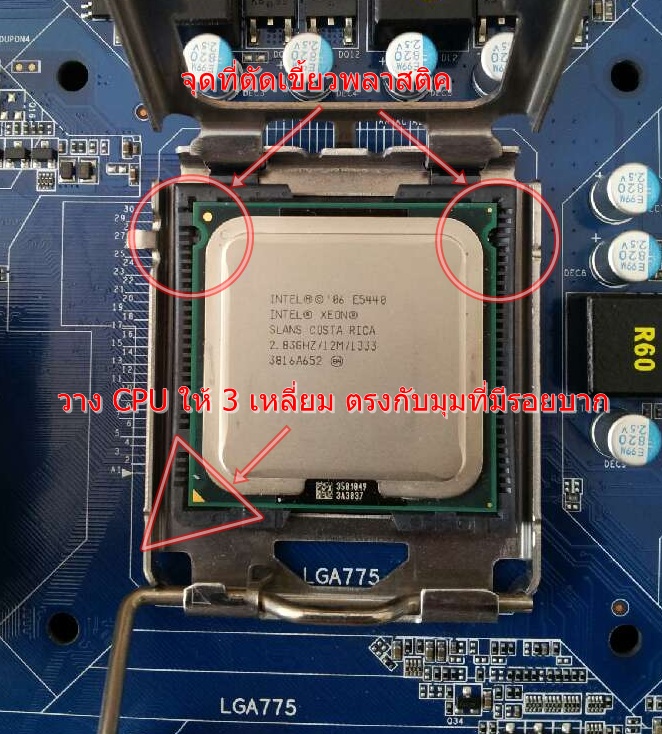 Mod Corner : แปลง Xeon E54xx Socket 771 > 775: 4. การติดตั้ง Xeon 771 ...