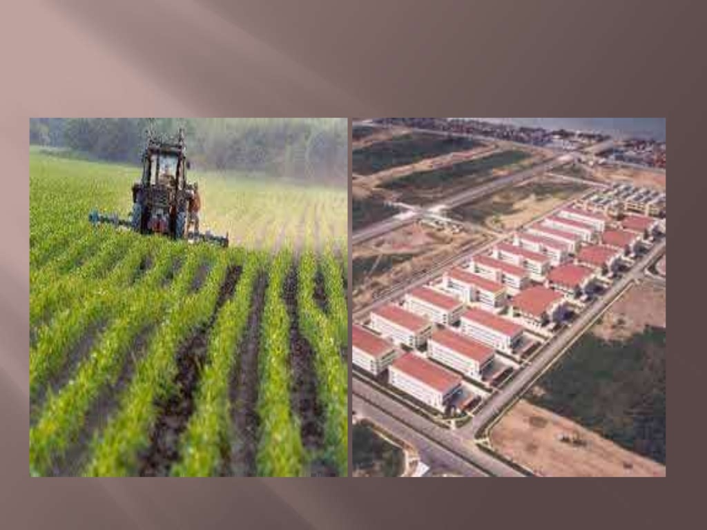 salik ng produksyon - philippin news collections