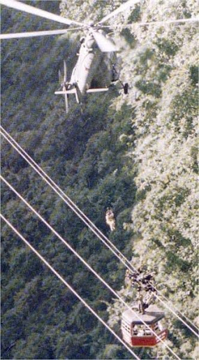 TIMBER TRAIL: A UNIQUE RESCUE OPERATION