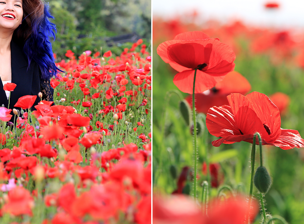 Pop.py - Theheyheyhey