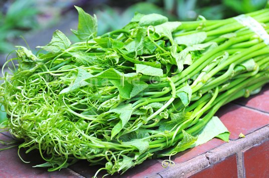 Exotic Herbs and Plants in Mao Naga Cuisine - Part I