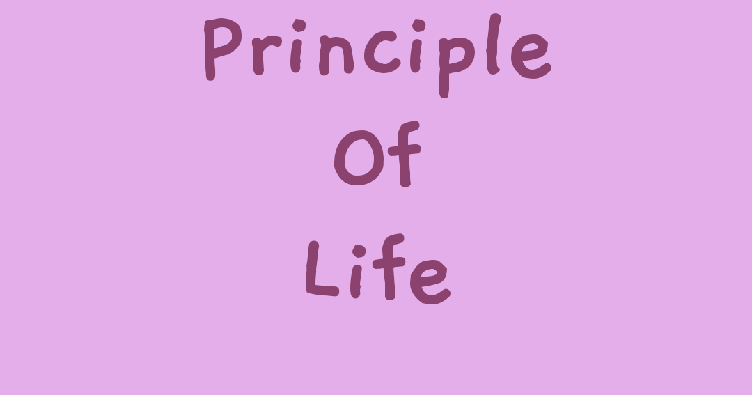 Principle Of Life | Naajeya