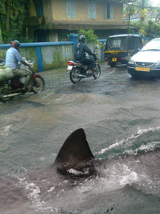 Pinoy Funny Collection: Funny Happenings when typhoon Pedring landed in ...