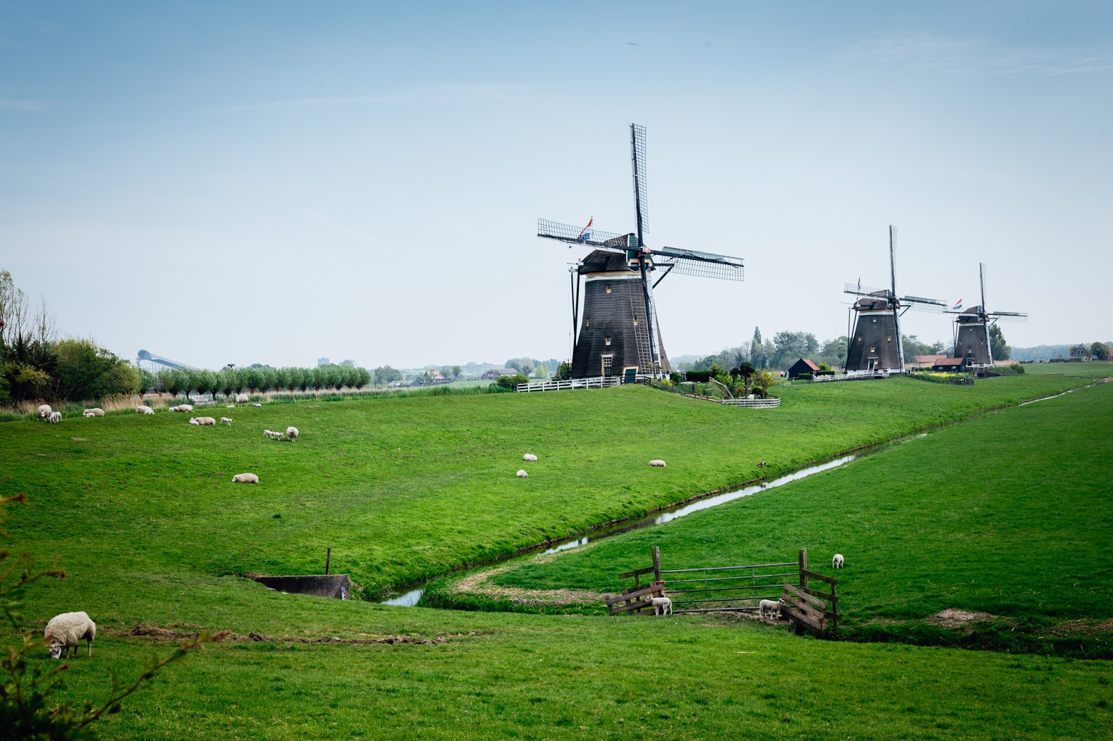 Travel: Dutch Countryside