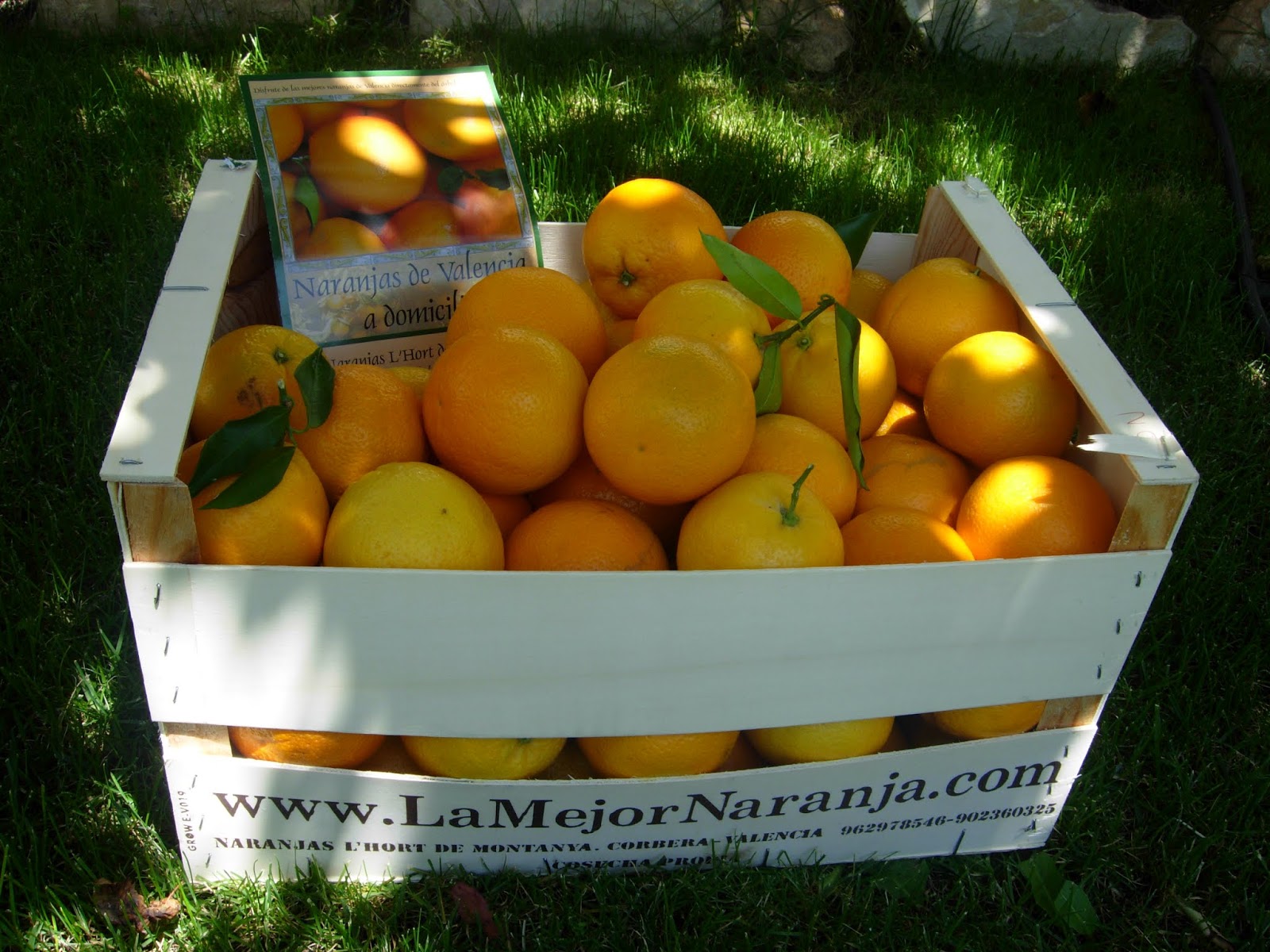 aprendo en la cocina: SOUFFLÉ DE NARANJA Y AZAHAR