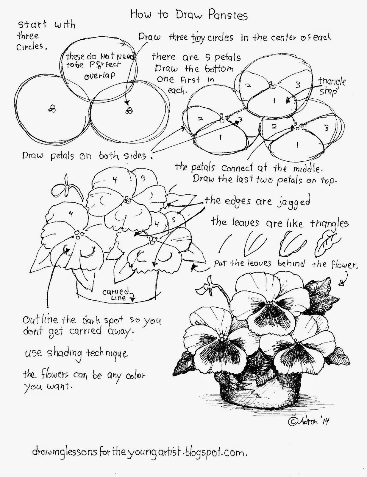 How to Draw Worksheets for The Young Artist: How to Draw Pansies ...