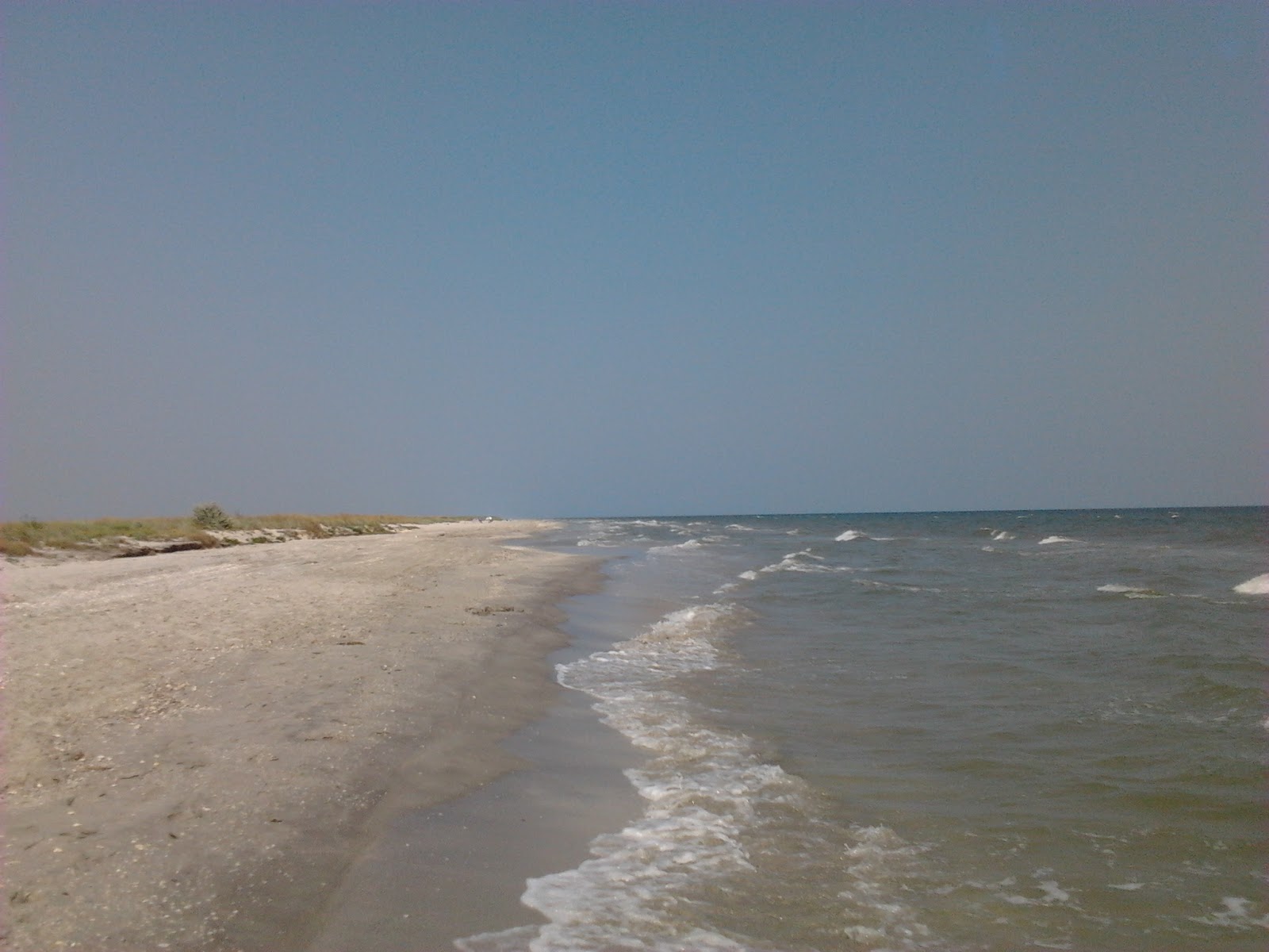 Grindul Chituc - wild wetland
