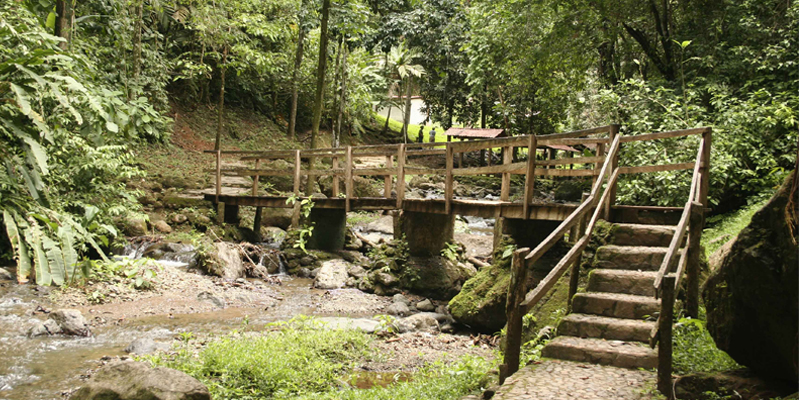 Tu Guia LLanera: Estado Guarico