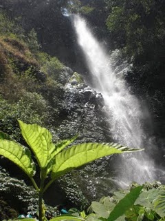 amazing traveling place