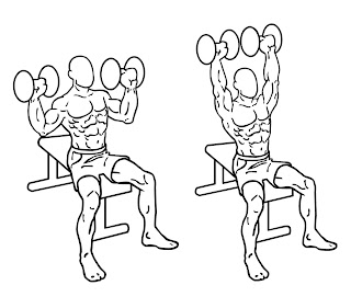 Shoulder Workouts | How to get broad shoulders | Exercise for shoulders ...