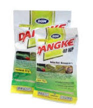 Keunggulan, Fungsi, dan Dosis Insektisida Danke Untuk Tanaman ...