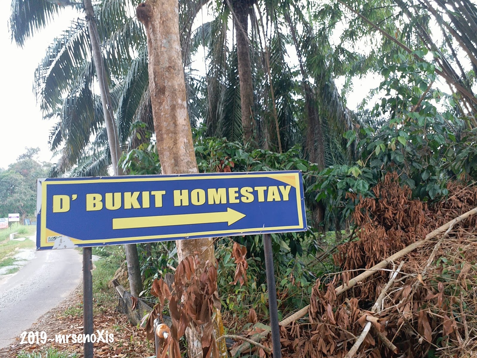 Me as MrsEnoxis: Short Weekend Getaway di D’Bukit Homestay Rembau