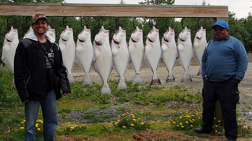 Behind the French Menu: Flétan (fletan)– Halibut, the fish.