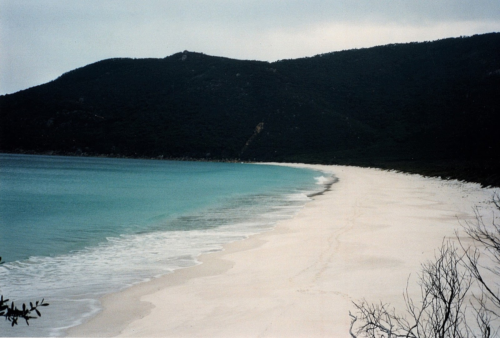 Goin' Feral One Day At A Time: Little Waterloo Bay, Wilsons Promontory ...