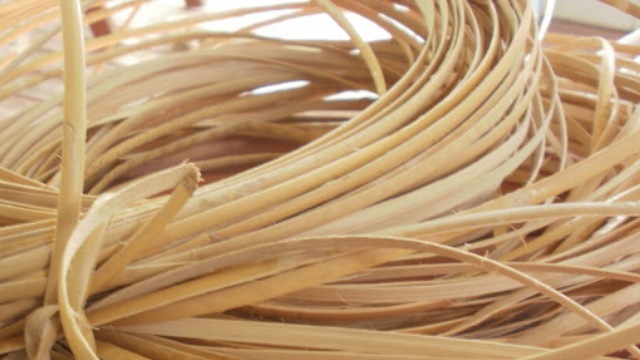 Mengenal Jenis Rotan untuk Furniture - Oom Blogger