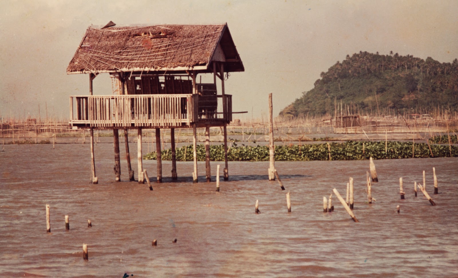 Connecting: Old Landmarks, New Landmarks at UPLB and Los Baños