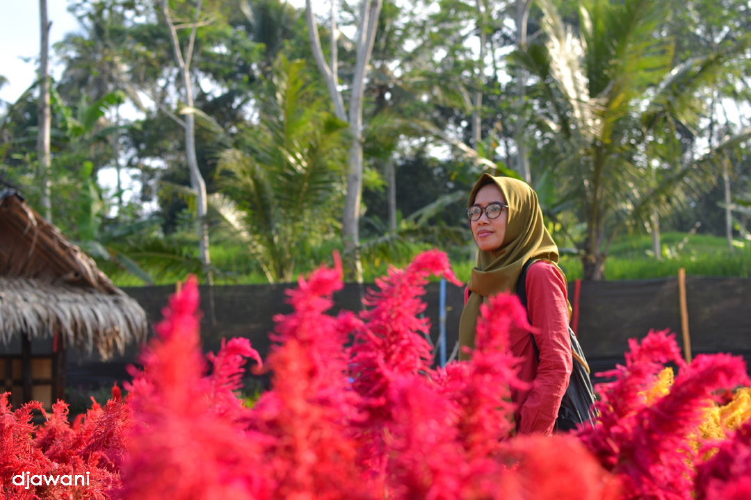 Taman Bunga Pagoda Kaliangkrik, Pagoda di lereng Gunung Sumbing