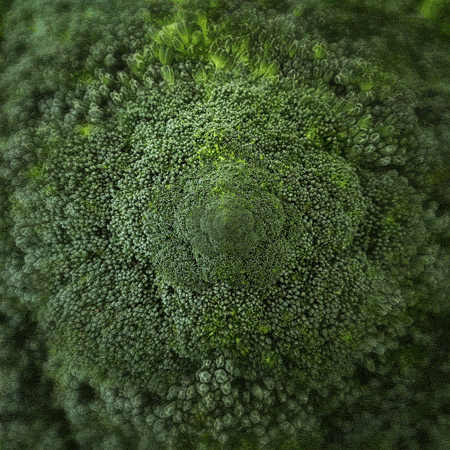 Skip's House of Chaos: Broccoli