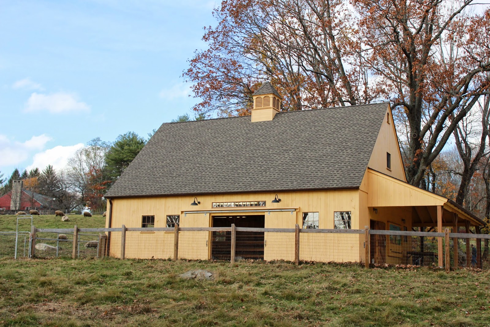 neta loves: | A DAY AT DRUMLIN FARM: