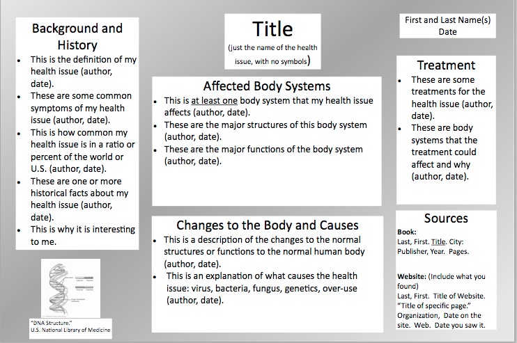 Mrs. Reed's Science Class : Human Anatomy