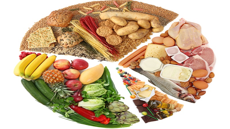 Survivre au Chaos: Des graines pour la vie