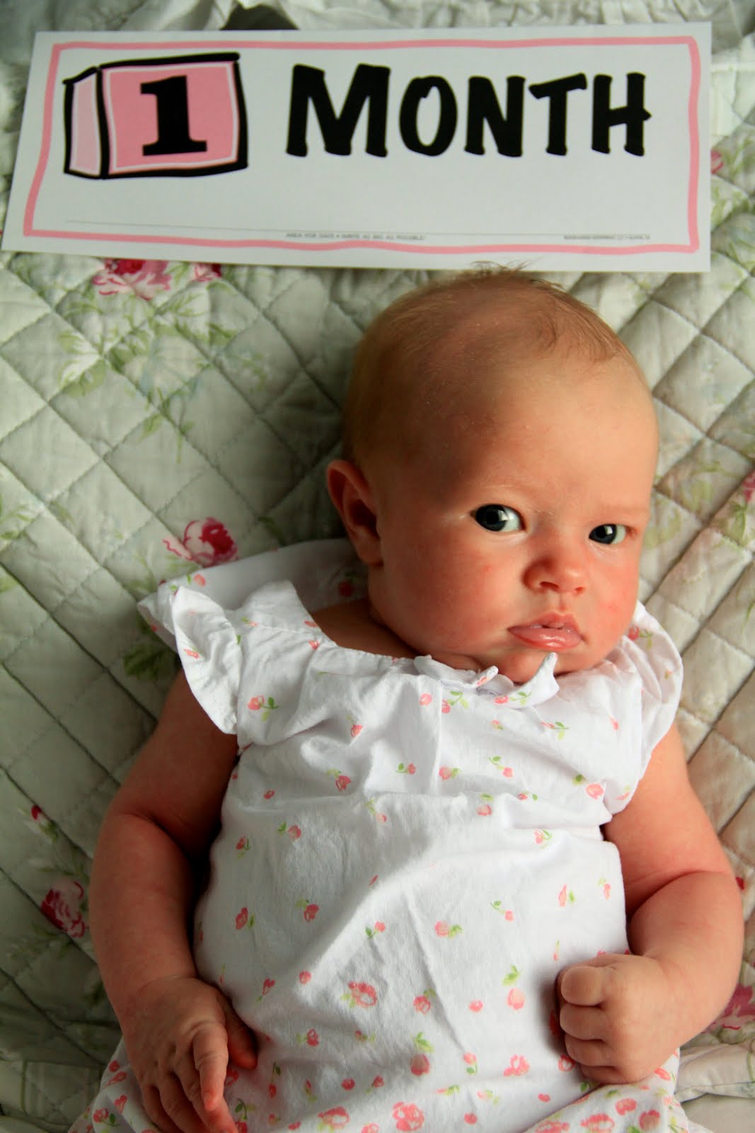 lassoing the moon: I'm One Month Old Today!