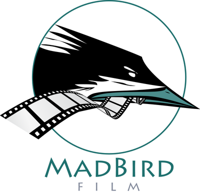 Introducing MAD BIRD FILM • Mad Bird Design