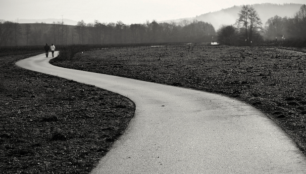 Dana's Photography: Examples of Wide Depth of Field