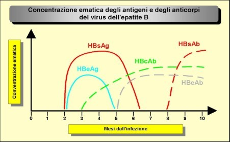 HBV