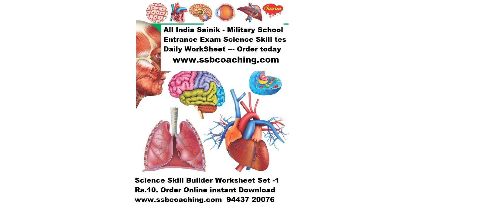 Science Worksheet For Sainik And Military School Class VI Entrance Exam Science Worksheet For Sainik And Military School Class VI Entrance Exam