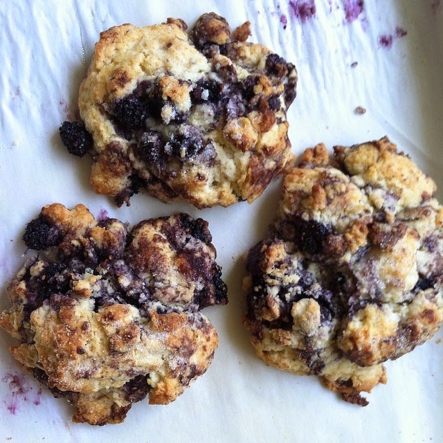 confessions of a cook: Delicious Mulberry Scones!
