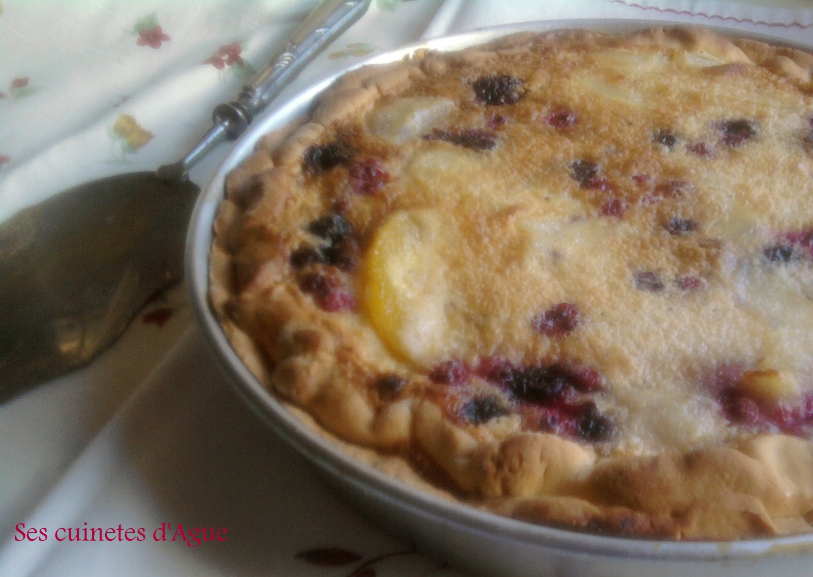 Pilladas En La Calle.com