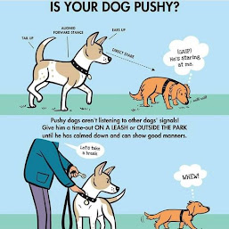 Dog-pushing problem