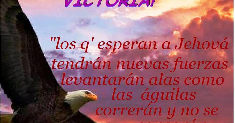 Devocional Diario. Reflexiones para vos: Devocional Diario. Reflexiones para vos: