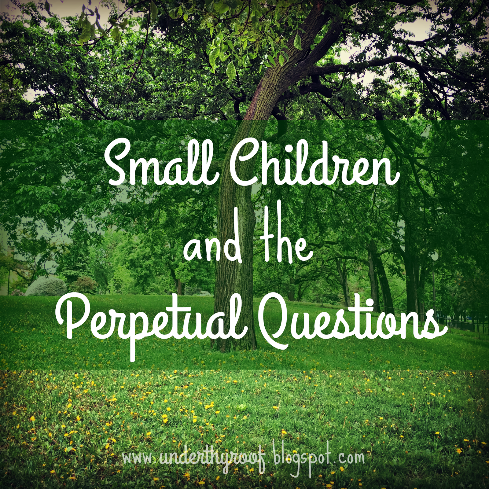 Under Thy Roof: Small Children and the Perpetual Questions - #bctgp