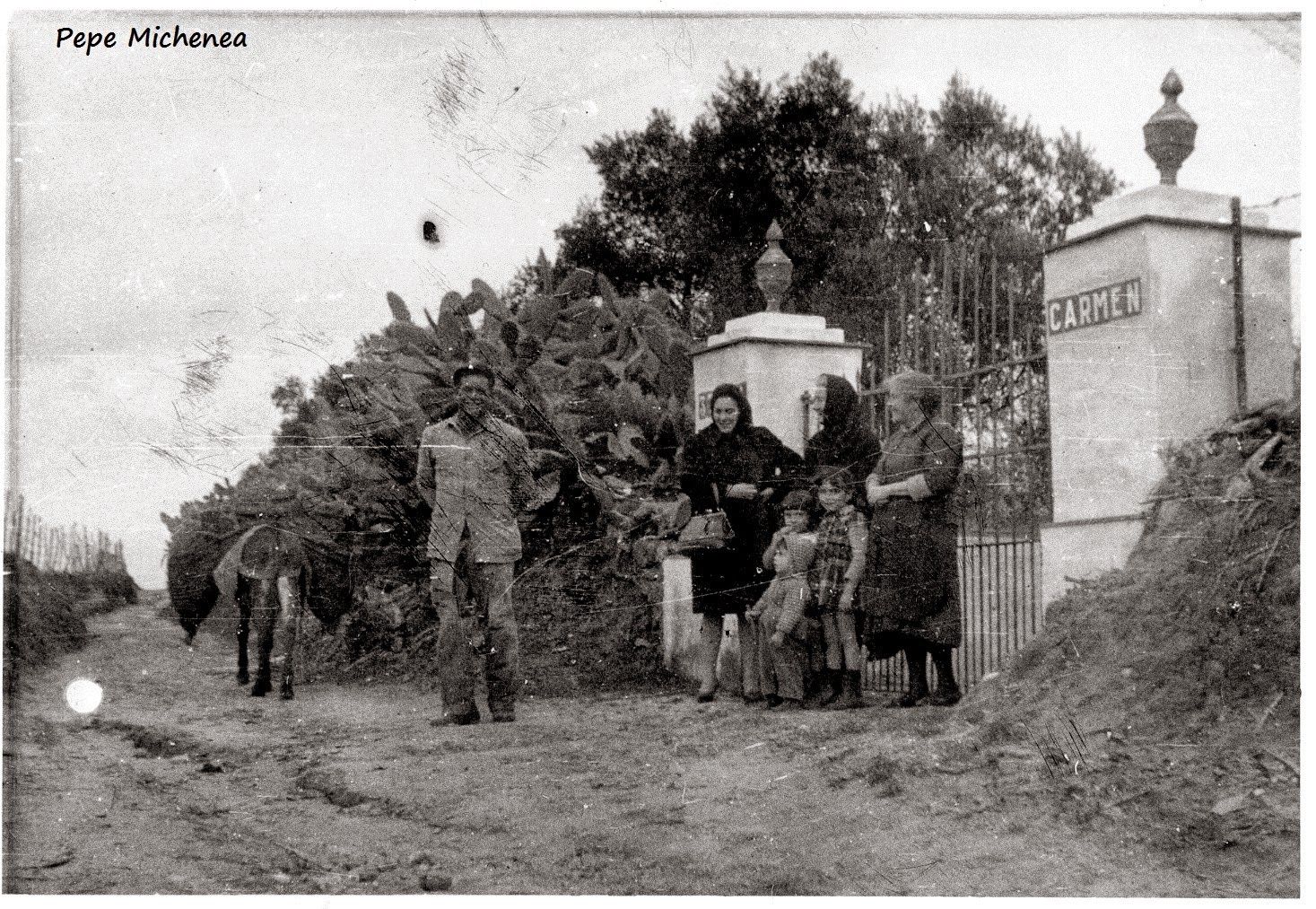 EL INDIO CHIVATO: 2014