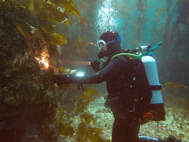Diving Anacapa With The Raptor Dive Boat - First Church of The Masochist