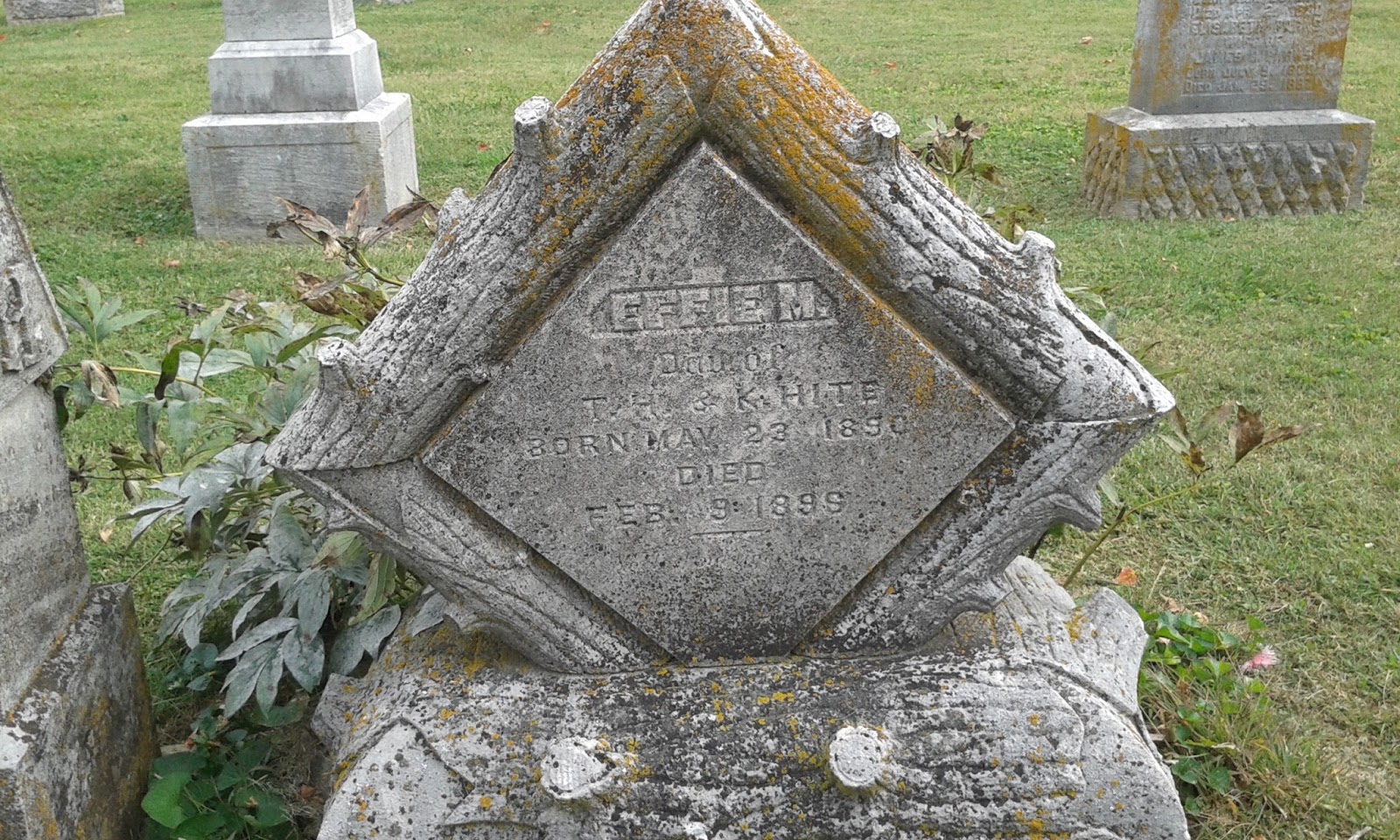 A Walk Through The Tombstones: Chambersville Cemetery